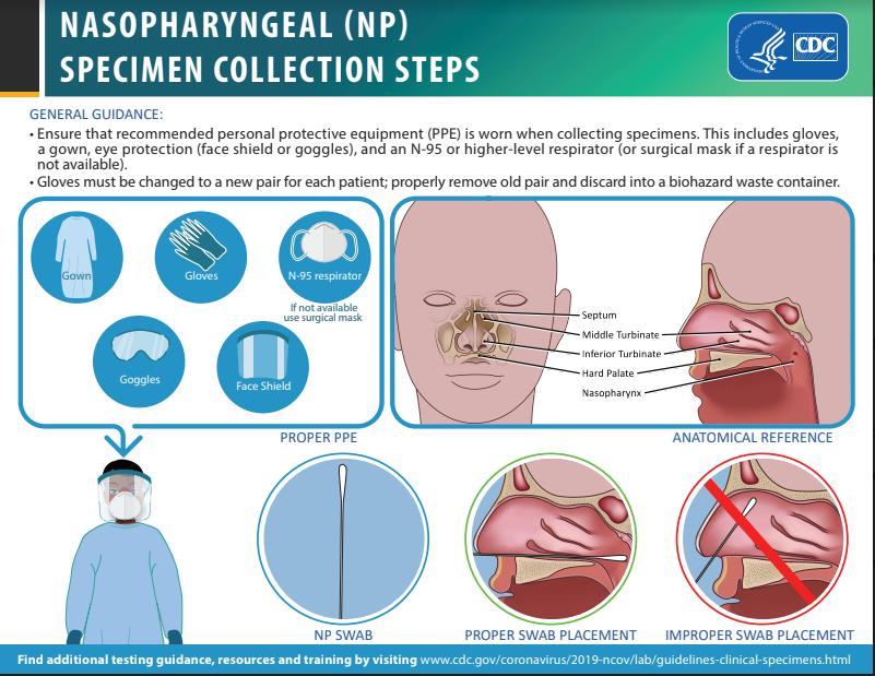 Respiratory 19 Pathogen Panel By PCR Hunterdon Medical Center